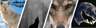 Alpha, Beta, Omega: What are you?