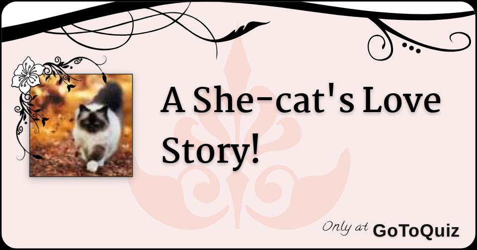 A She-cat's Love Story!