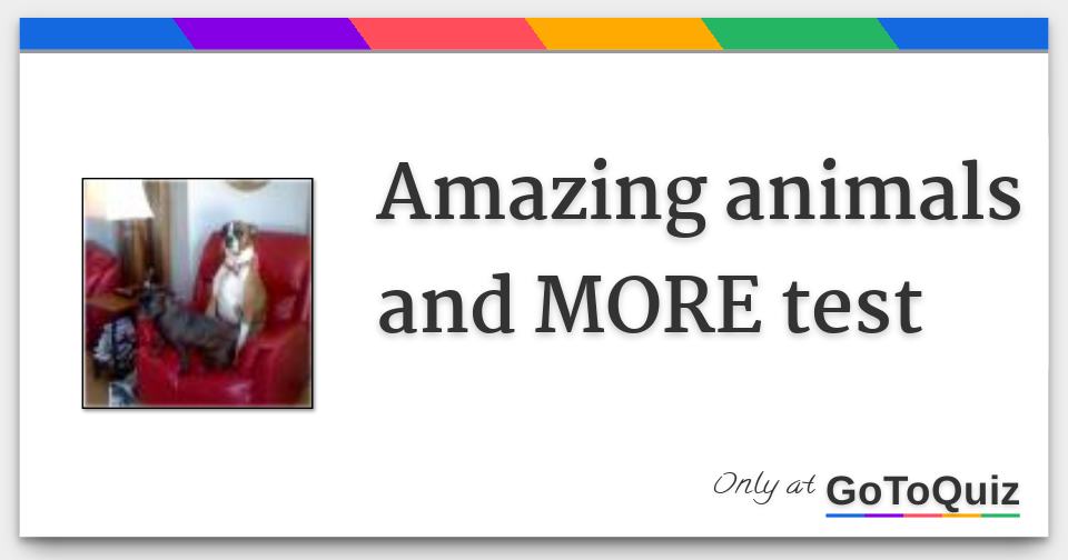 amazing animals and MORE test