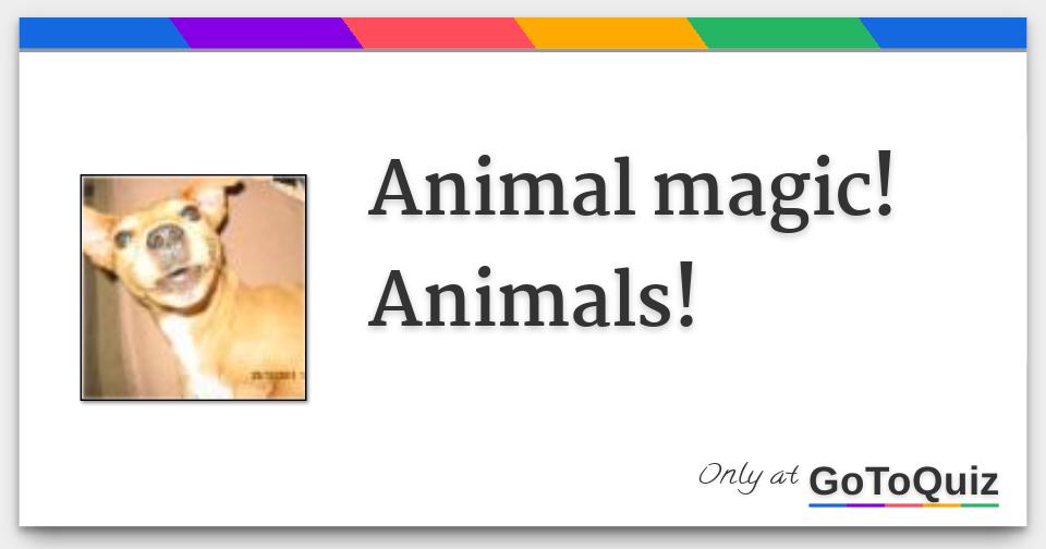 Animal magic! Animals!