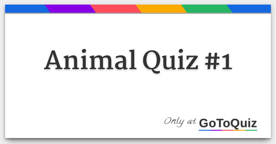 Animal Quiz #1