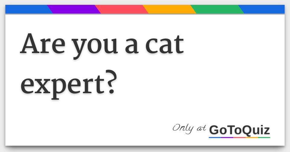 Are you a cat expert?