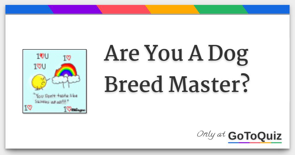 Are You A Dog Breed Master?