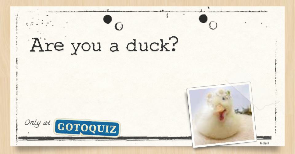 Are you a duck?
