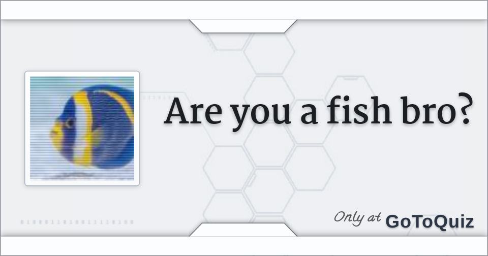Are you a fish bro?