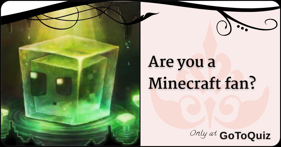Are you a Minecraft fan?
