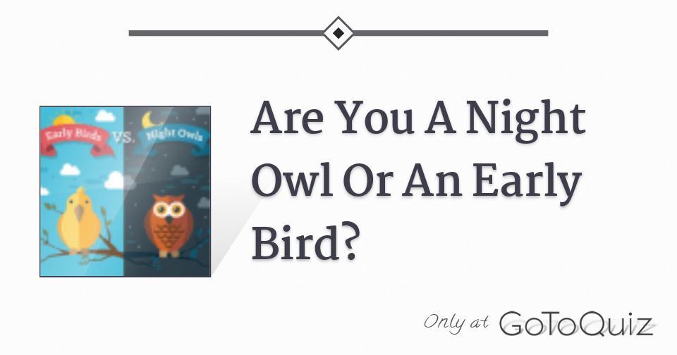Are You A Night Owl Or An Early Bird?