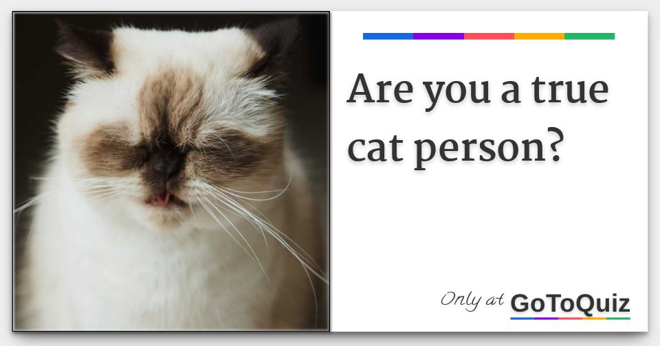 Are you a true cat person?
