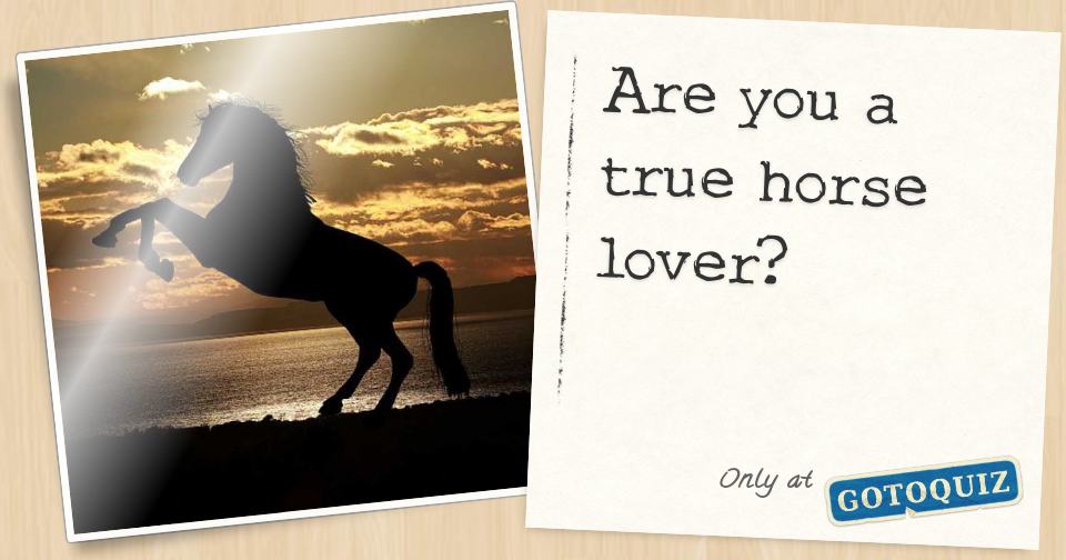 Are you a true horse lover?