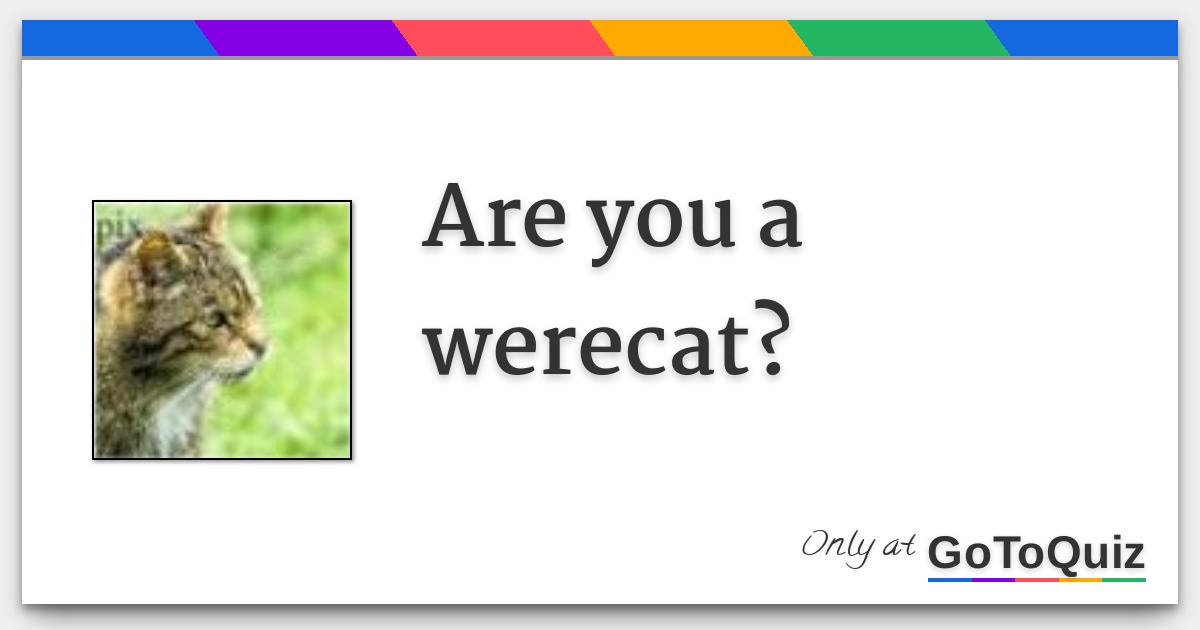 Are you a werecat?