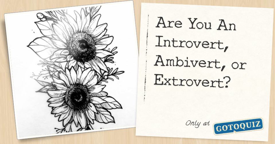 Are You An Introvert, Ambivert, or Extrovert?