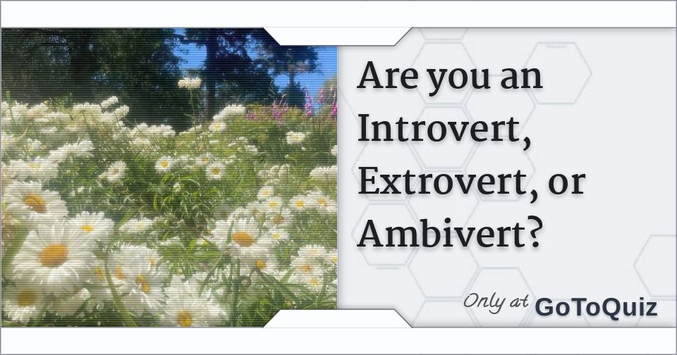 Are you an Introvert, Extrovert, or Ambivert?
