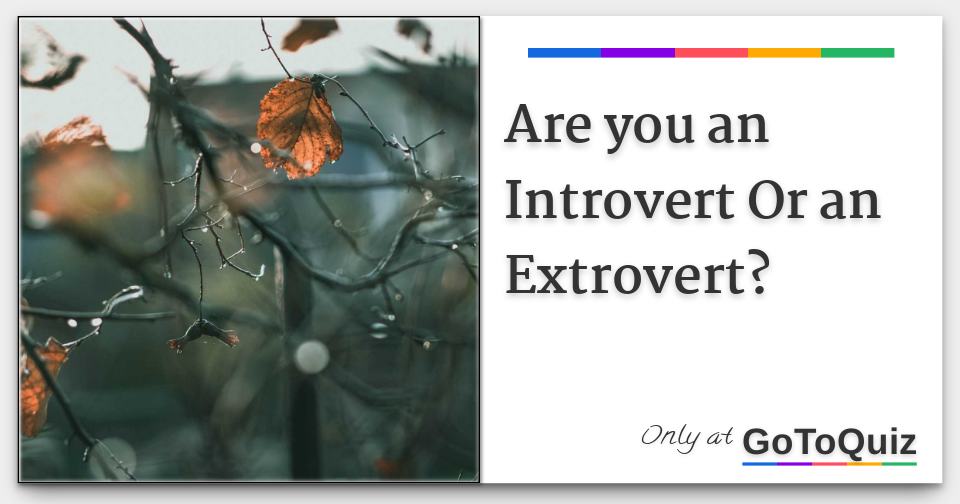 Results: are you an Introvert Or an Extrovert?