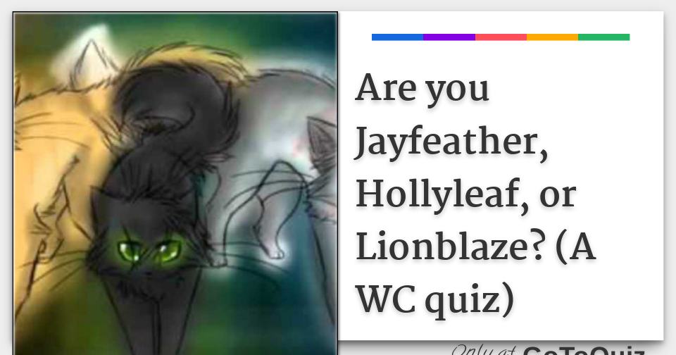 Warrior Cats Jayfeather Lionblaze And Hollyleaf