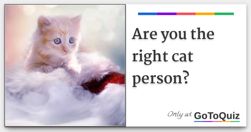 Are you the right cat person?