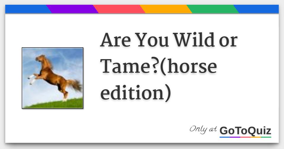 Are You Wild or Tame?(horse edition)