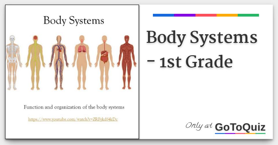 Body Systems - 1st Grade