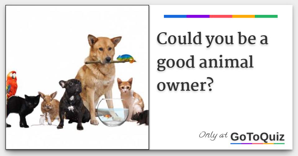 Could you be a good animal owner?