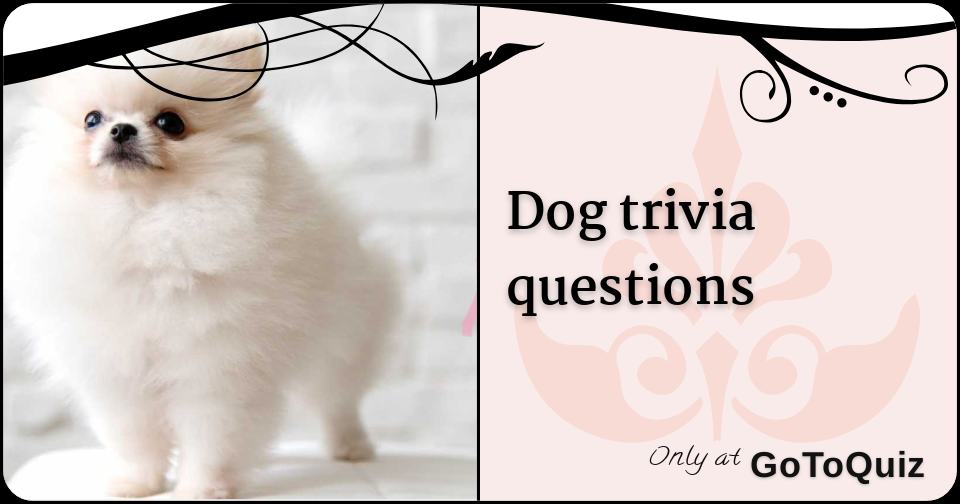 Dog trivia questions