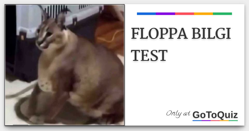 FLOPPA BILGI TEST