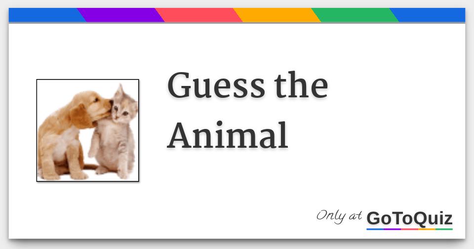 Guess the Animal