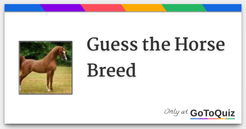 Guess the Horse Breed