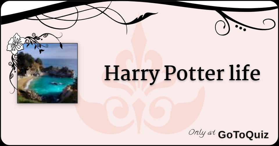 Harry Potter life