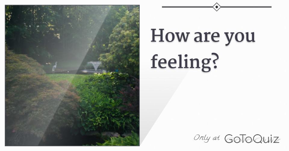 how are you feeling?