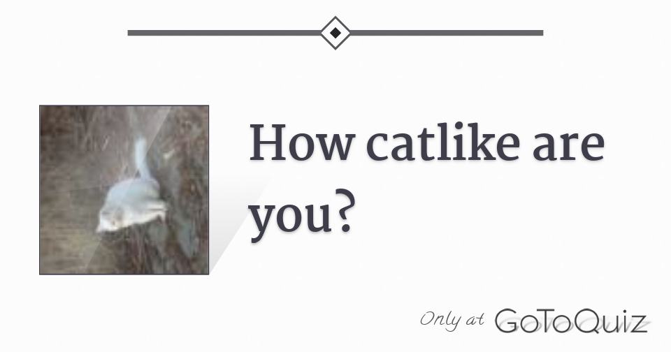 How catlike are you?