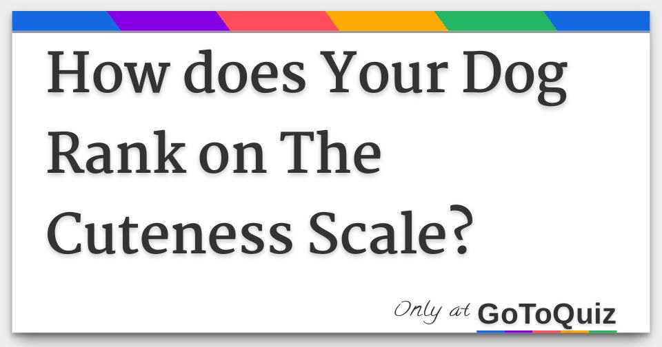 How does Your Dog Rank on The Cuteness Scale?