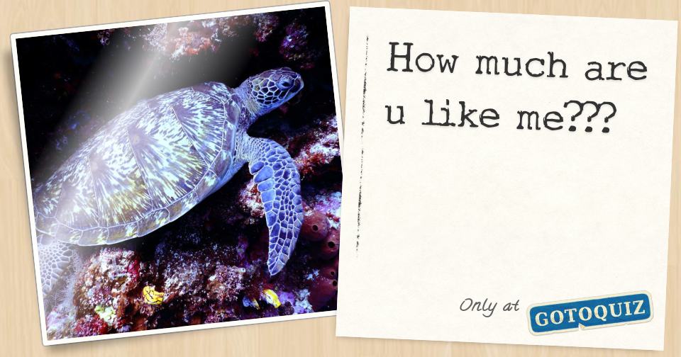 how much are u like me???