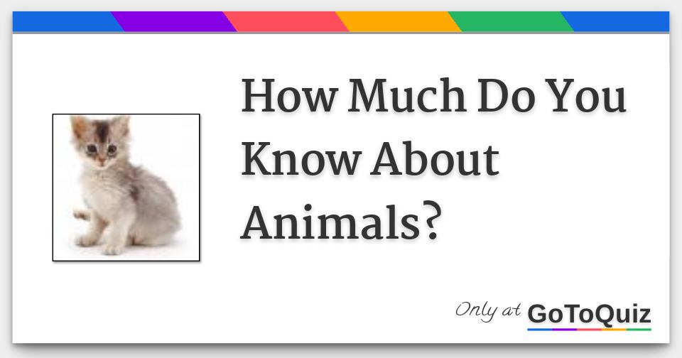 How Much Do You Know About Animals?