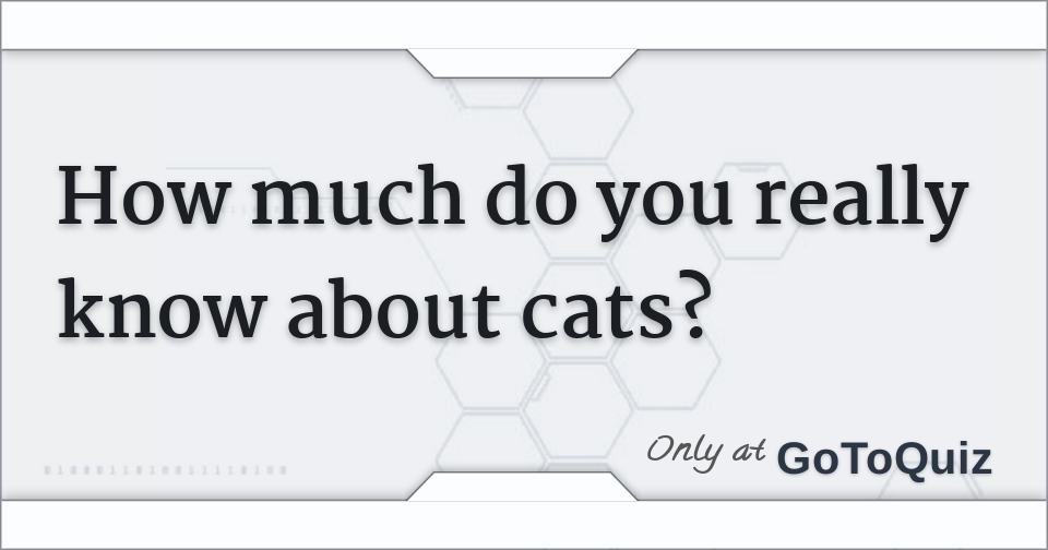 How much do you really know about cats?