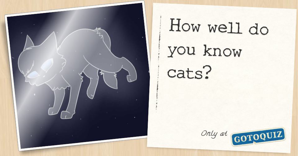 How well do you know cats?