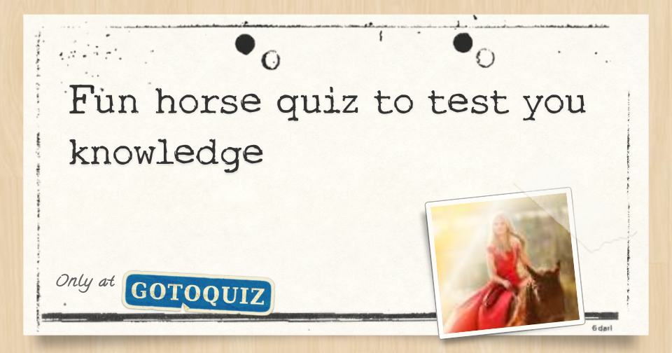 Fun horse quiz to test you knowledge