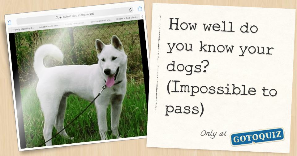 How well do you know your dogs? (Impossible to pass)