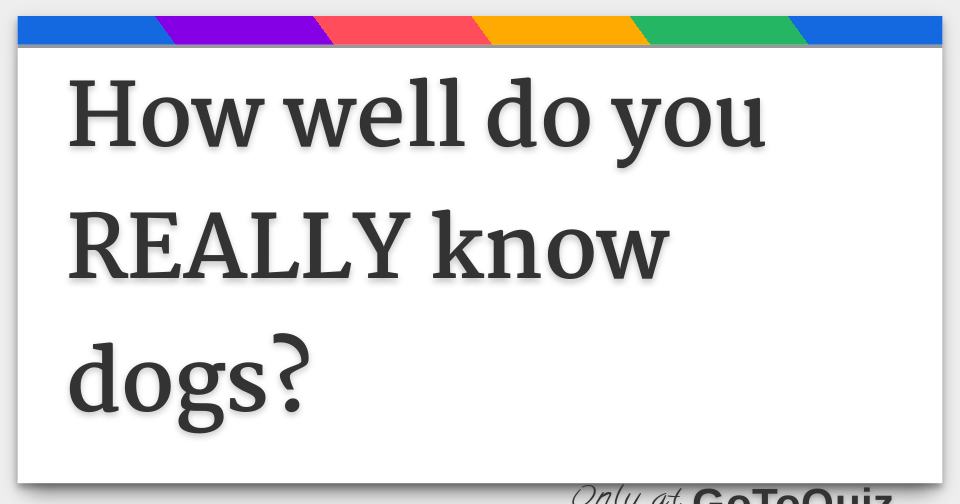 Results: How well do you REALLY know dogs?