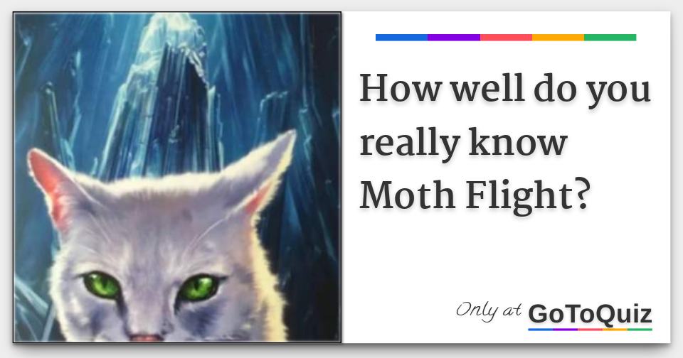 How well do you really know Moth Flight?