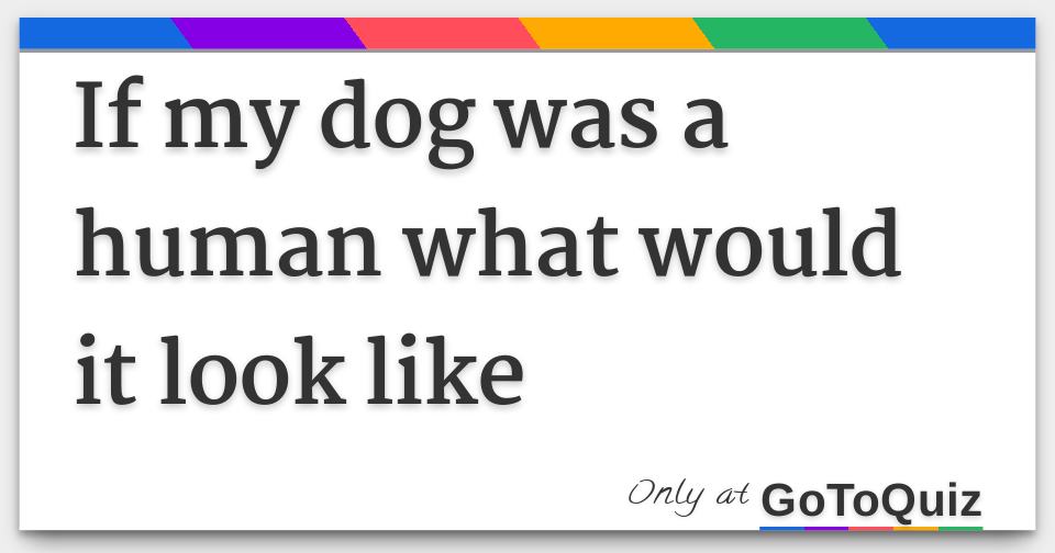 if my dog was a human what would it look like