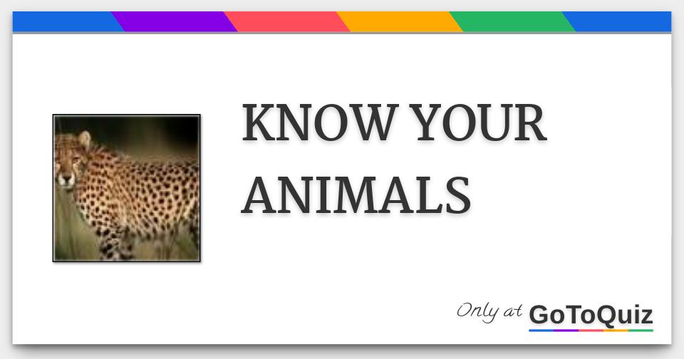 Results: KNOW YOUR ANIMALS