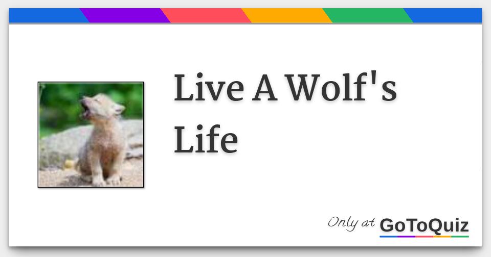 Live A Wolf's Life