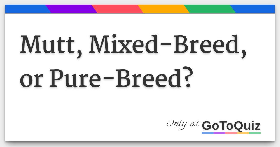 Mutt, Mixed-Breed, or Pure-Breed?