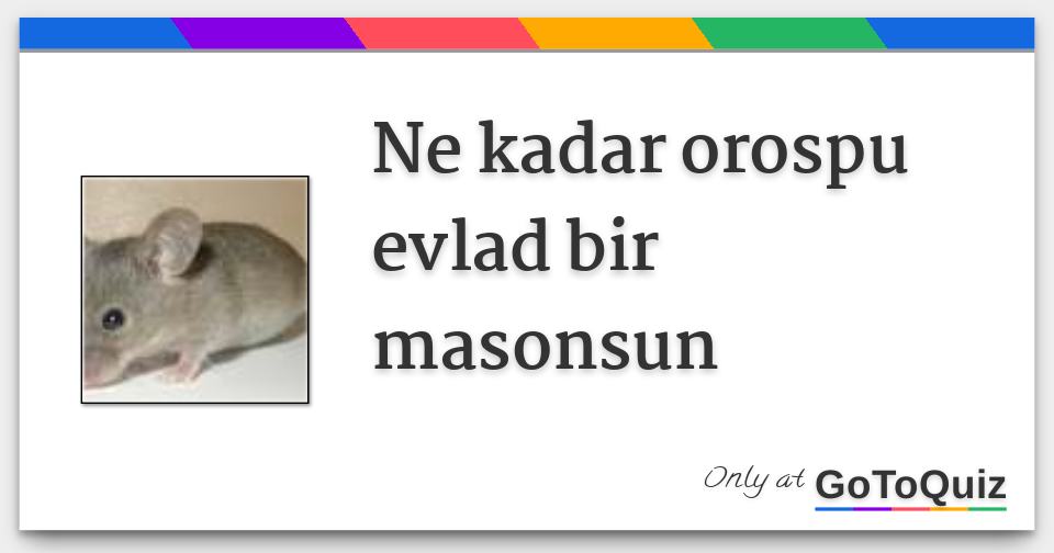 ne kadar orospu evlad bir masonsun