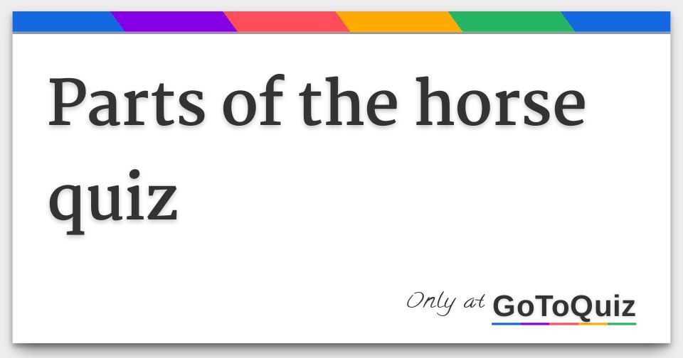 Parts Of The Horse Quiz Parts Of The Horse Quiz