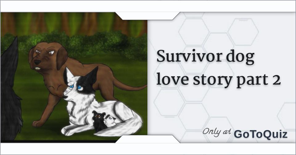 Survivor dog love story part 2