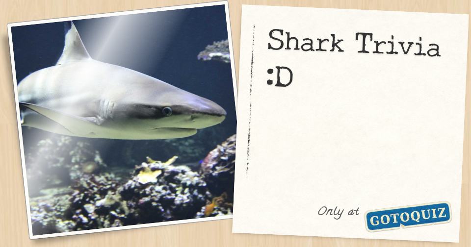 Shark Trivia :D