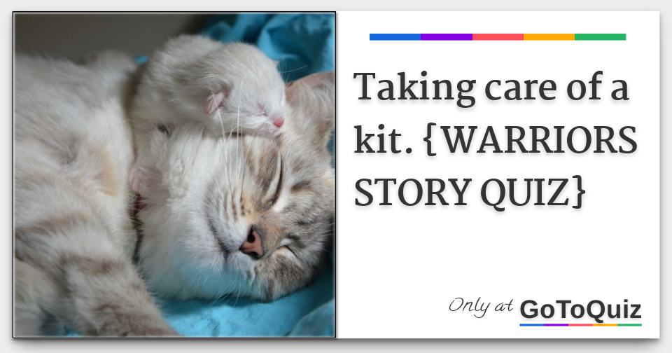 taking care of a kit. {WARRIORS STORY QUIZ}