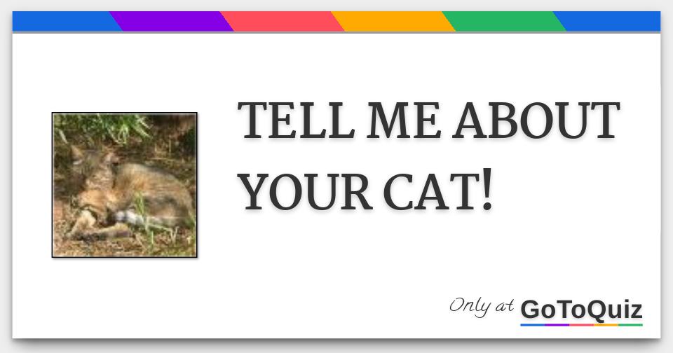 TELL ME ABOUT YOUR CAT!