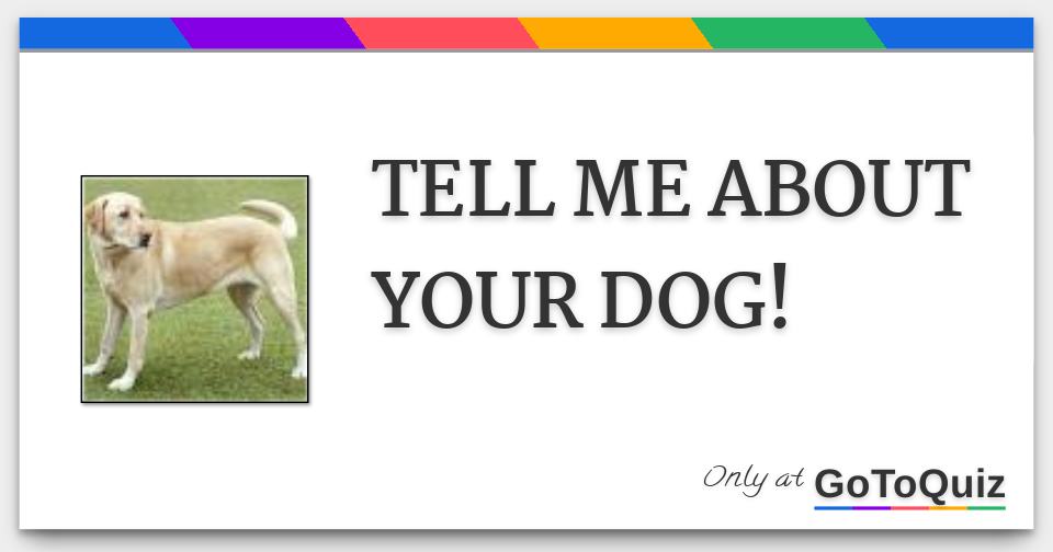 TELL ME ABOUT YOUR DOG!