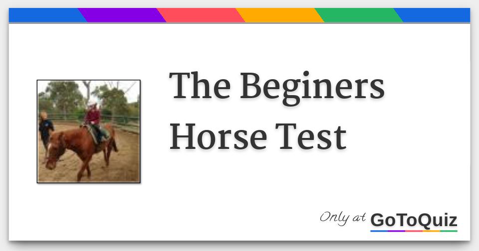 The Beginers Horse Test
